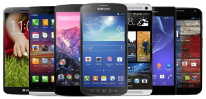 Our Services/Products